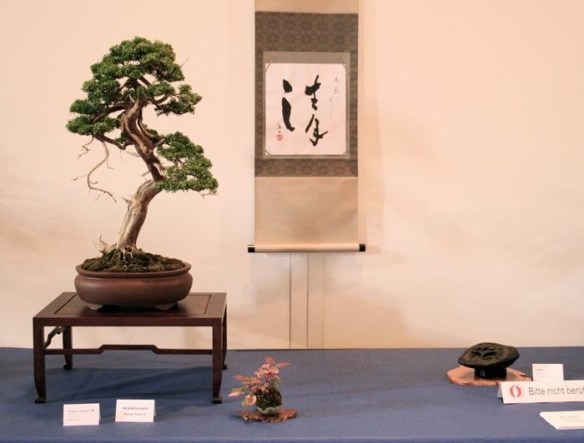 Award & Exhibitions | Kitora no do