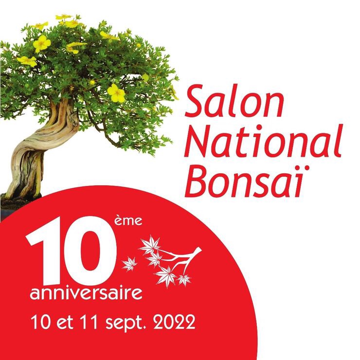 “Alien” al Salon National Bonsaï Maulévrier 2022 | Kitora no do
