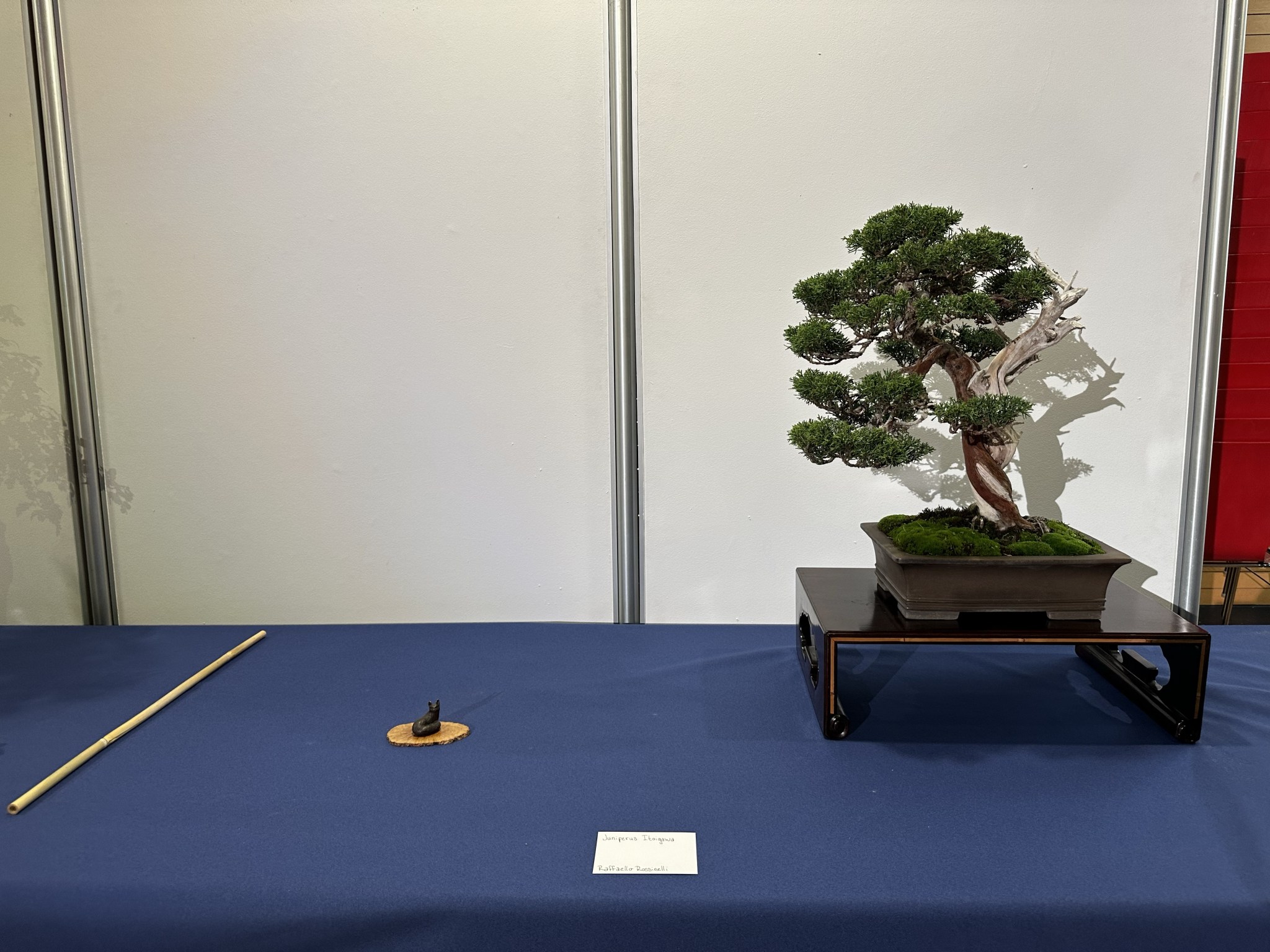 tempai | Kitora no do