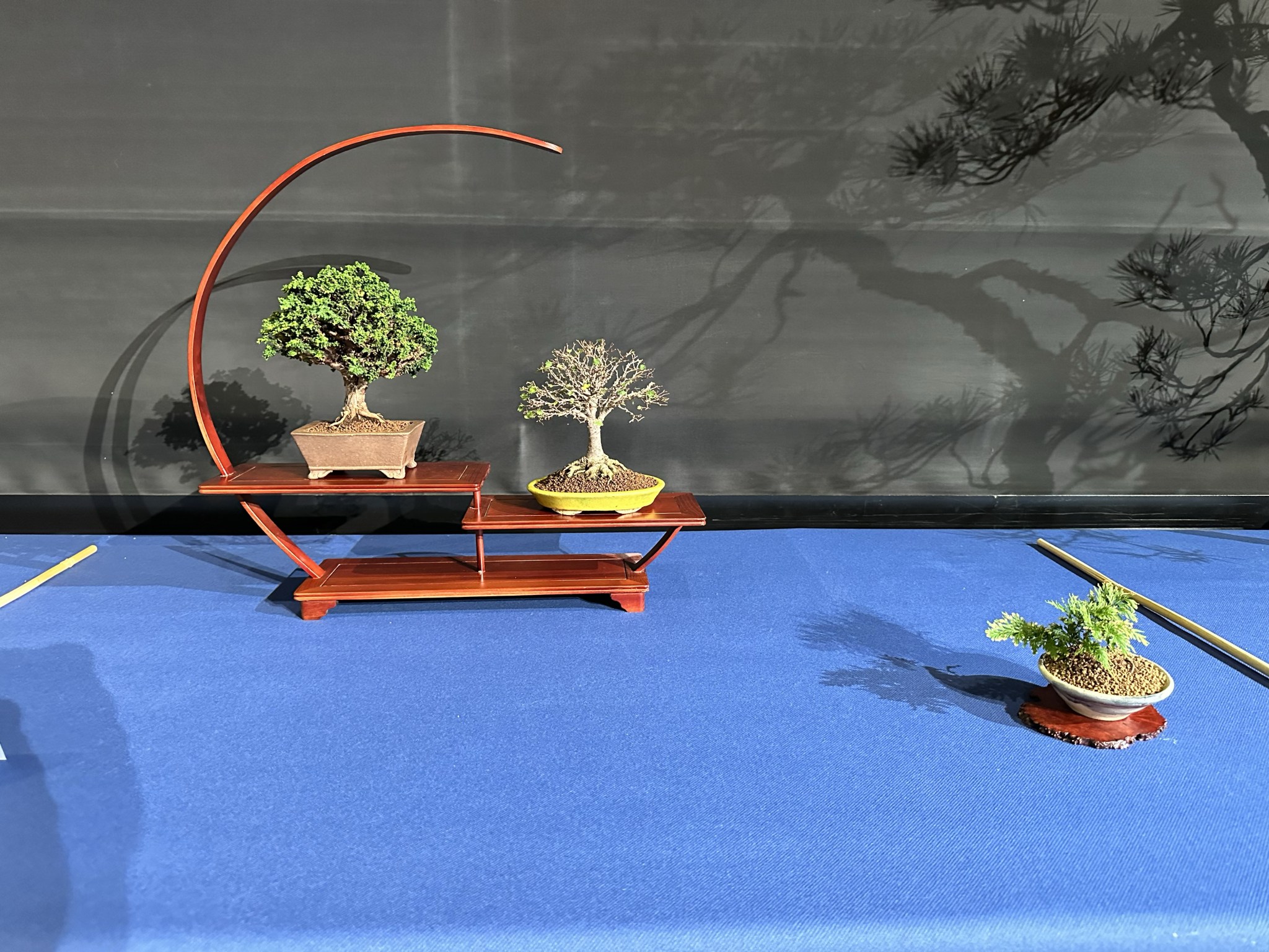 tempai | Kitora no do