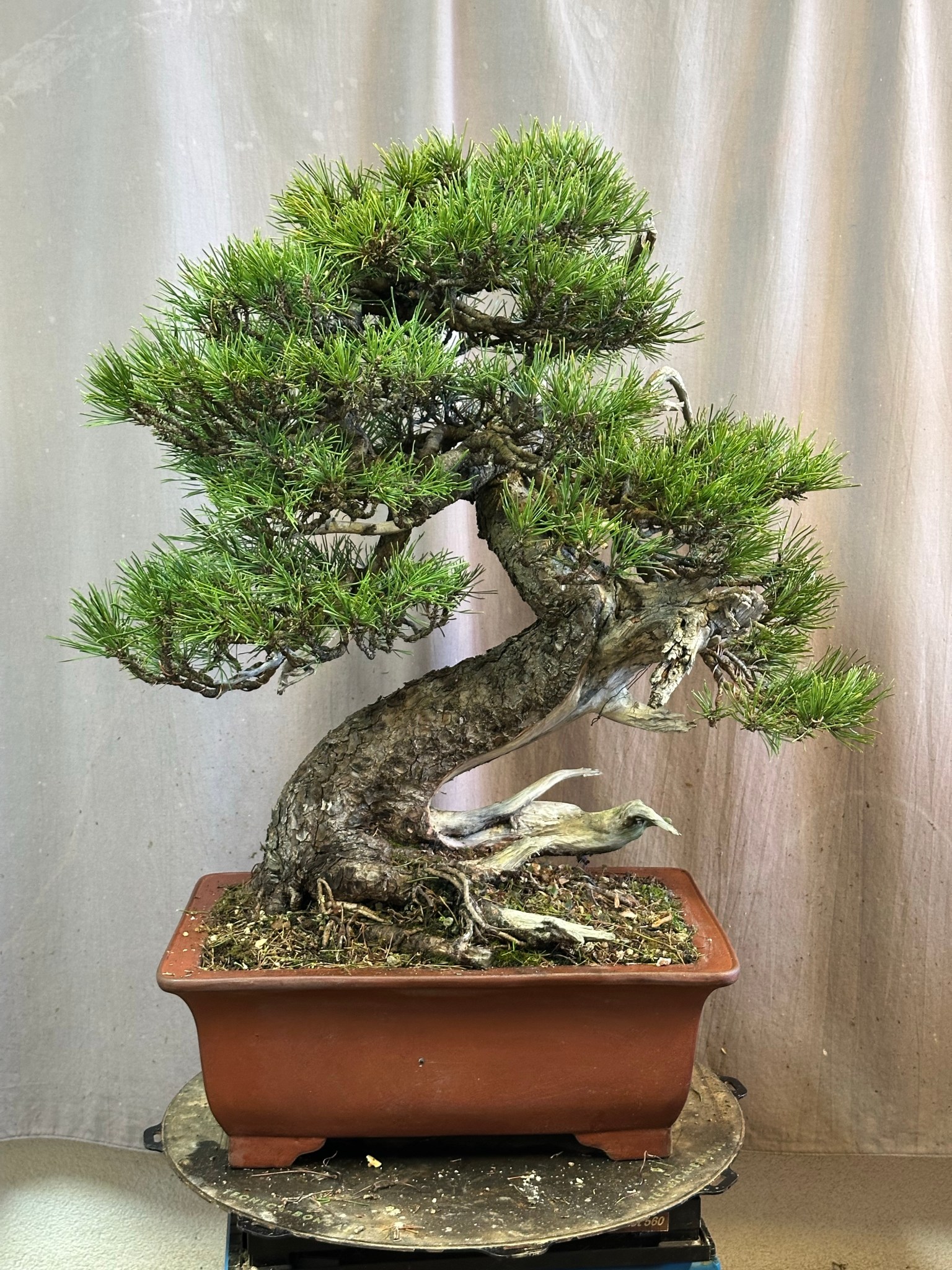 Kitora no do | La Via di Kitora