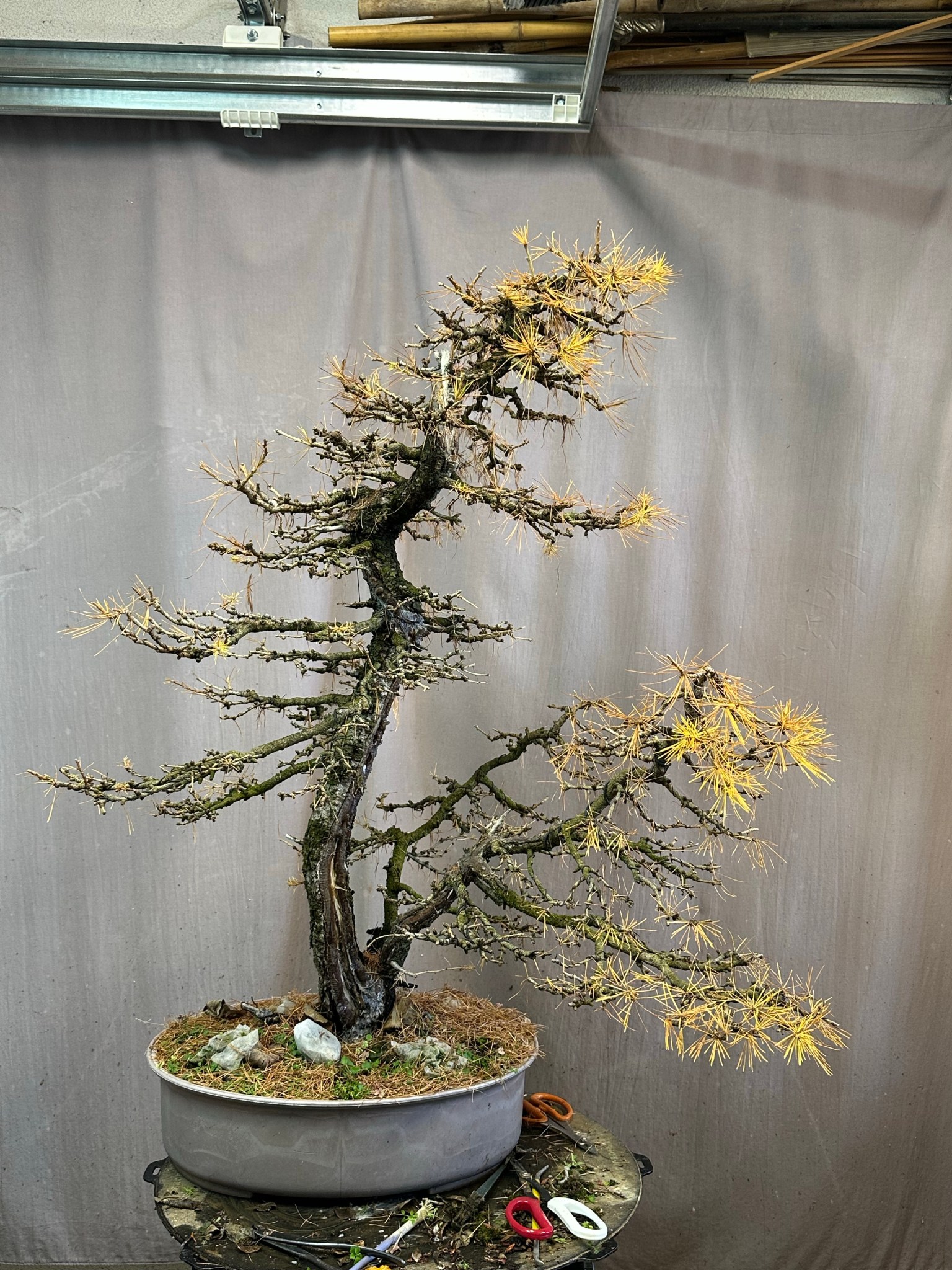 Karamatsu sankan work in progress | Kitora no do